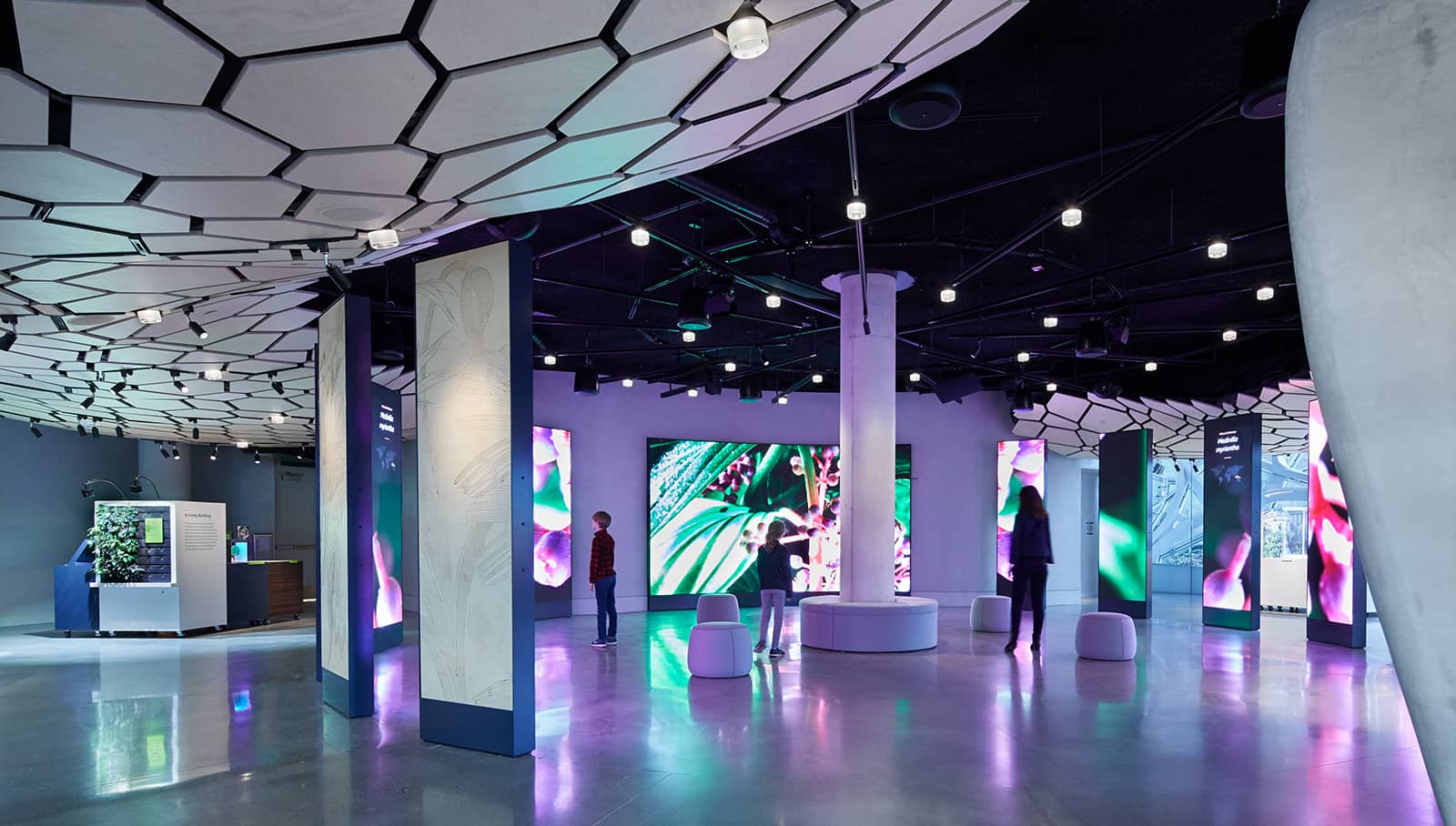 The Spheres: Immersive Media Experience at Understory on Vimeo