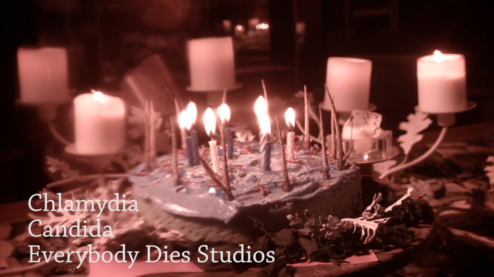 Candida- Music Video on Vimeo