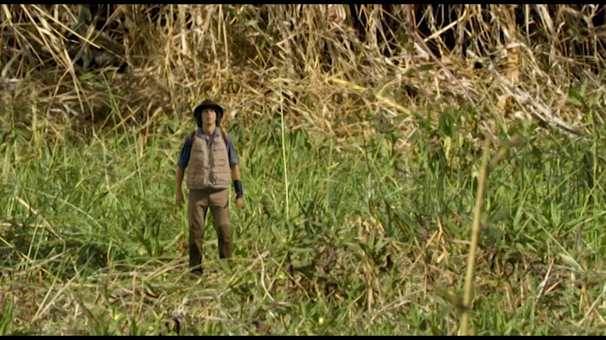 CBeebies Andy's Safari Adventures Promo on Vimeo