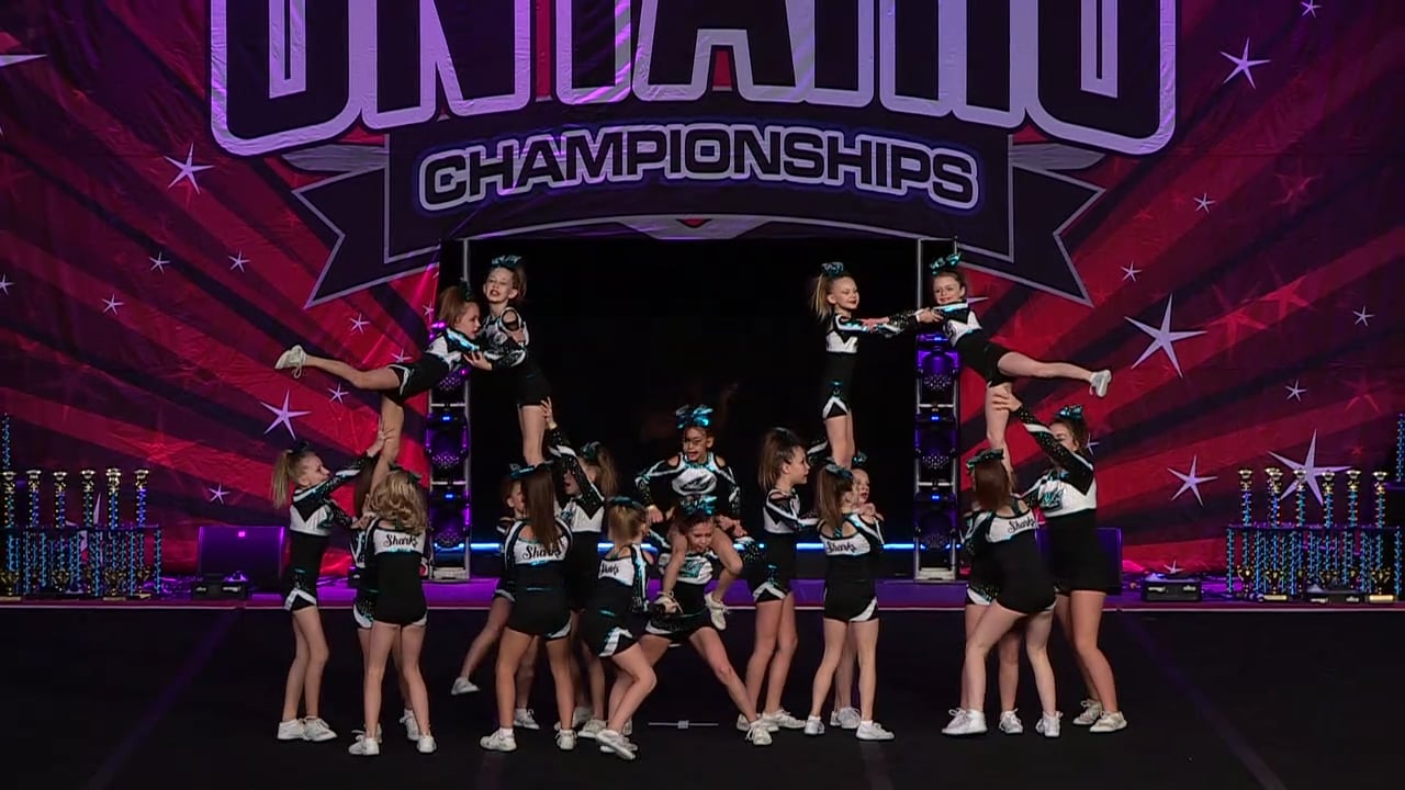 Cheer Sport Bahama Sharks Youth Sm 2 R1 on Vimeo