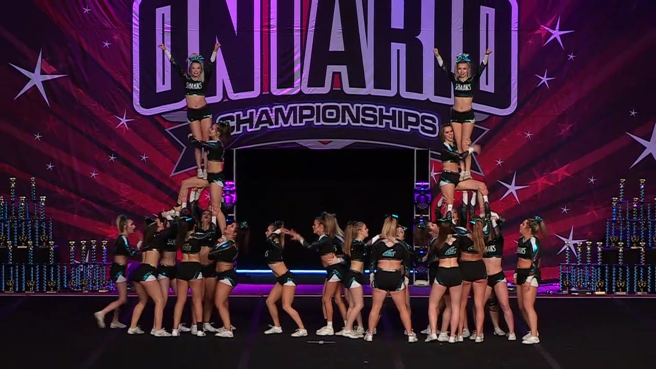 Cheer Sport Grey Reef Sharks Int'l Op 6 R1 on Vimeo