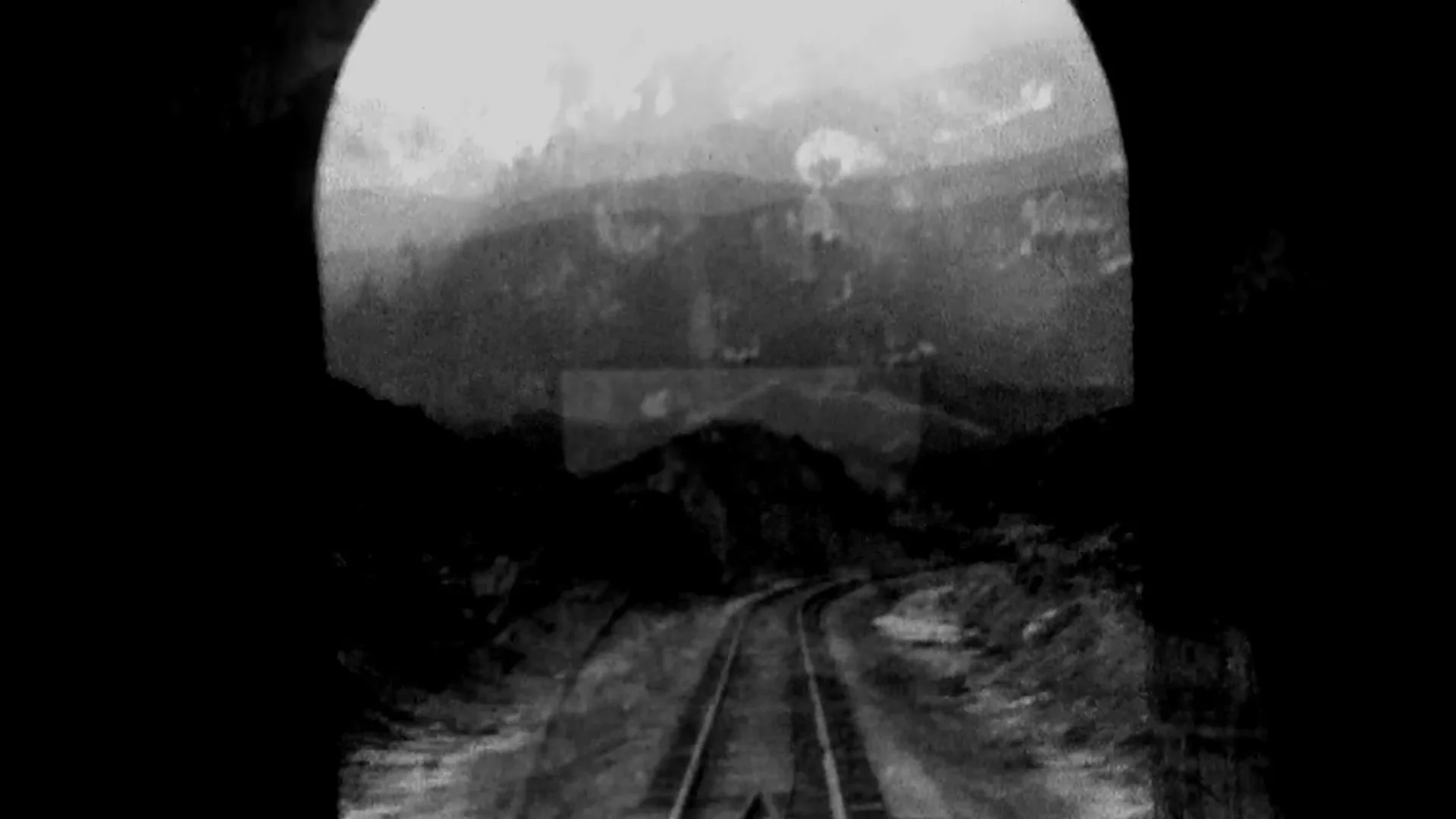 Luton - Black Box Animals (Album Trailer) on Vimeo