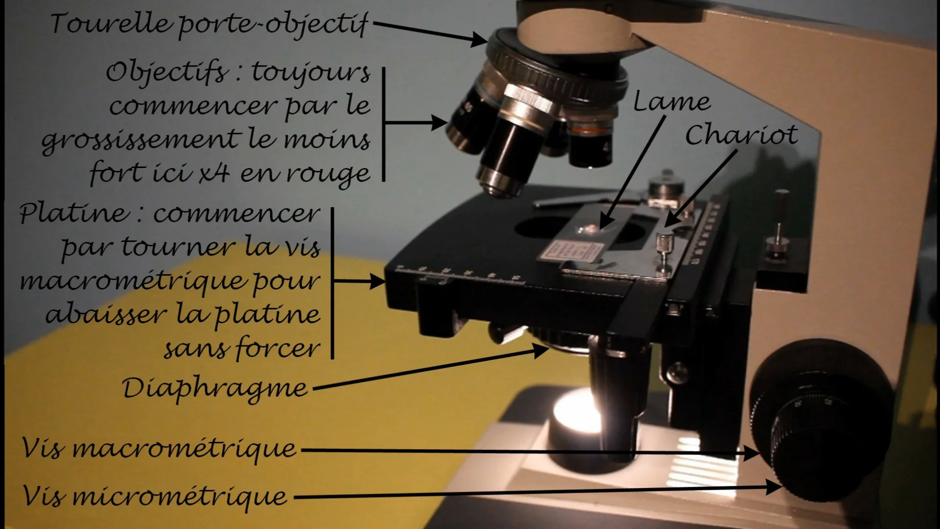 guide simplifié de l'utilisation d'un microscope optique