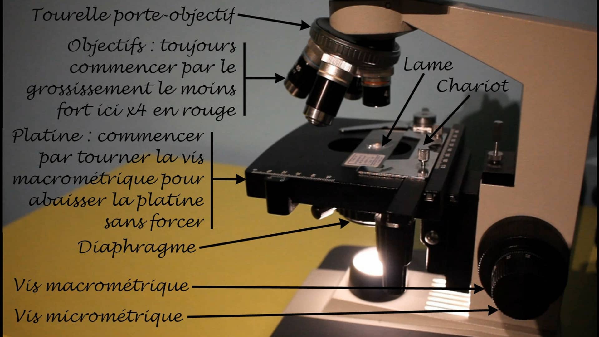 guide simplifié de l'utilisation d'un microscope optique on Vimeo