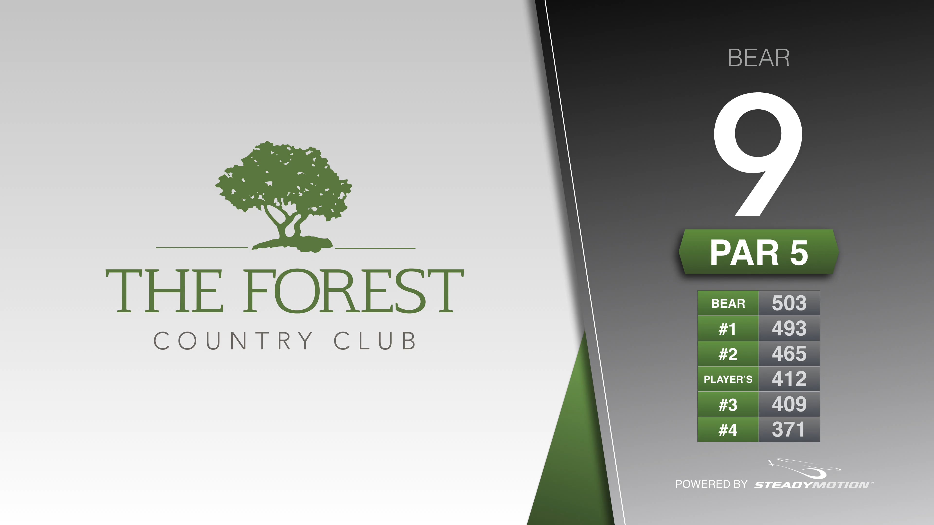 The Forest - Bear - Bear 9 on Vimeo