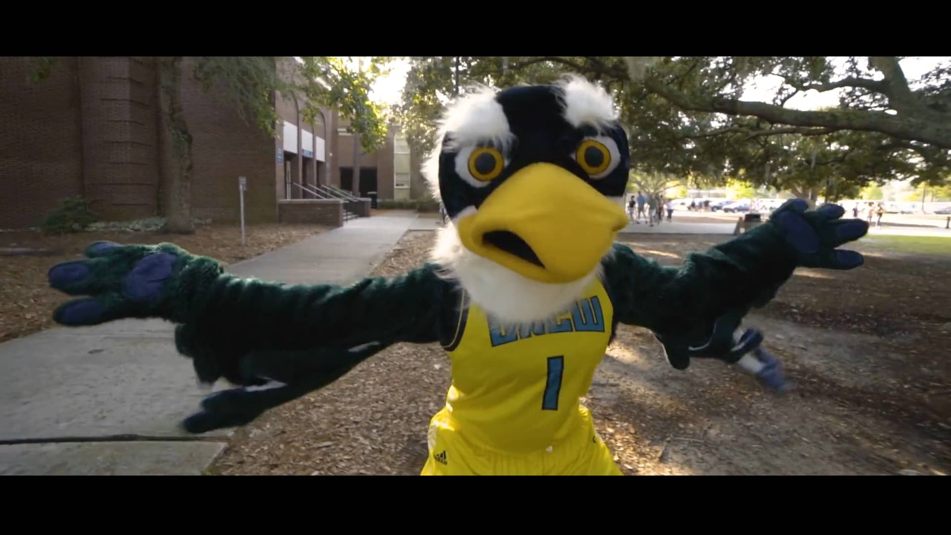 UNCW Seahawk Saturday! on Vimeo