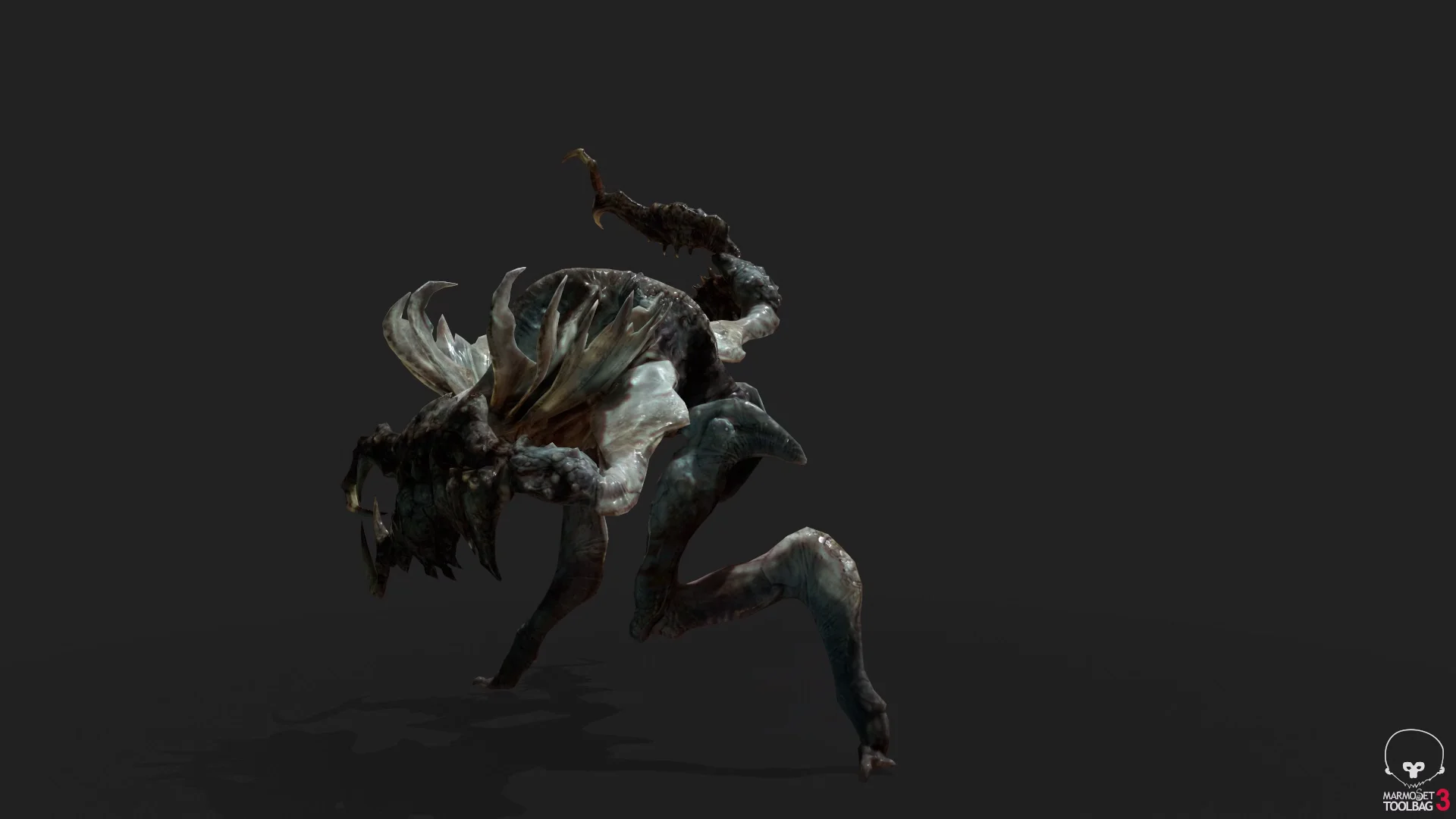 Combat_shark on Vimeo