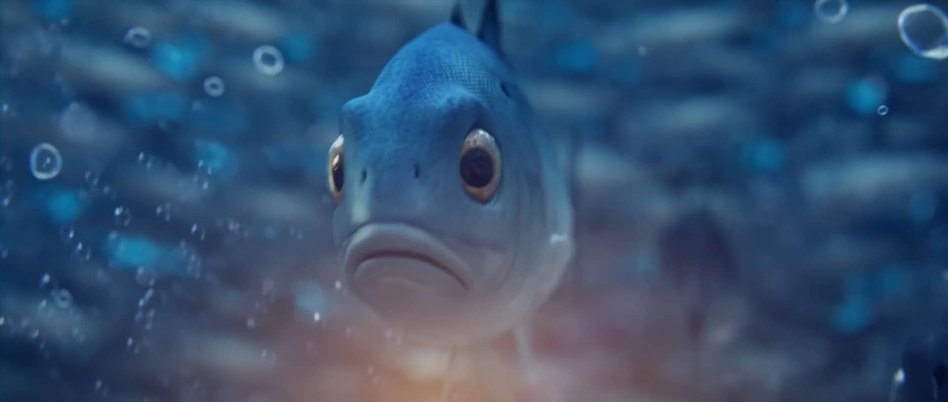 FISH on Vimeo