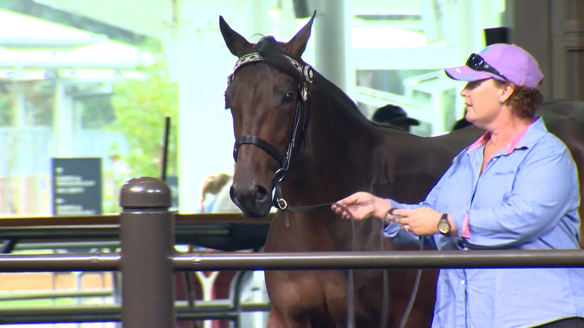 Lot 398 - Scott Whitten on Vimeo