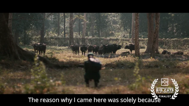 Singye - Finalist Trailer - Micro Movie on Vimeo