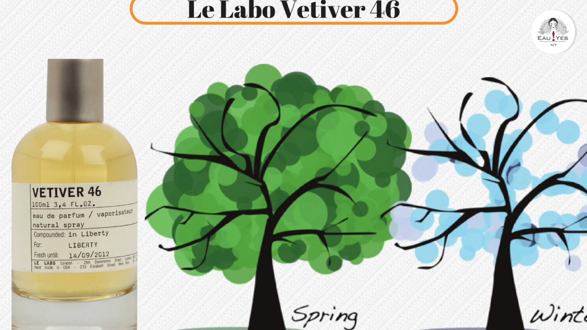 Le Labo Vetiver 46 Review | Base Notes | Price in USA | 🥇 Own That Crown