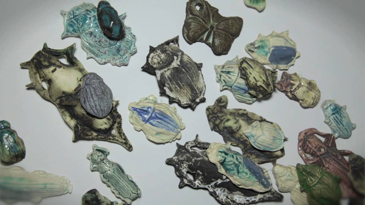 Magical Specimens - Anna Collette Hunt on Vimeo