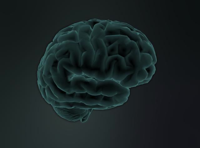 Hypothalamus brain animation on Vimeo