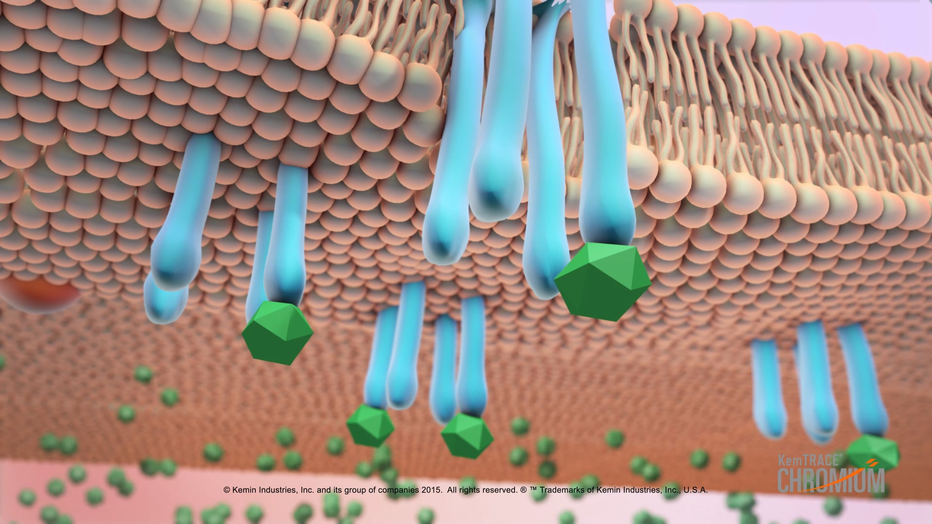 KemTRACE Chromium Mode of Action on Vimeo