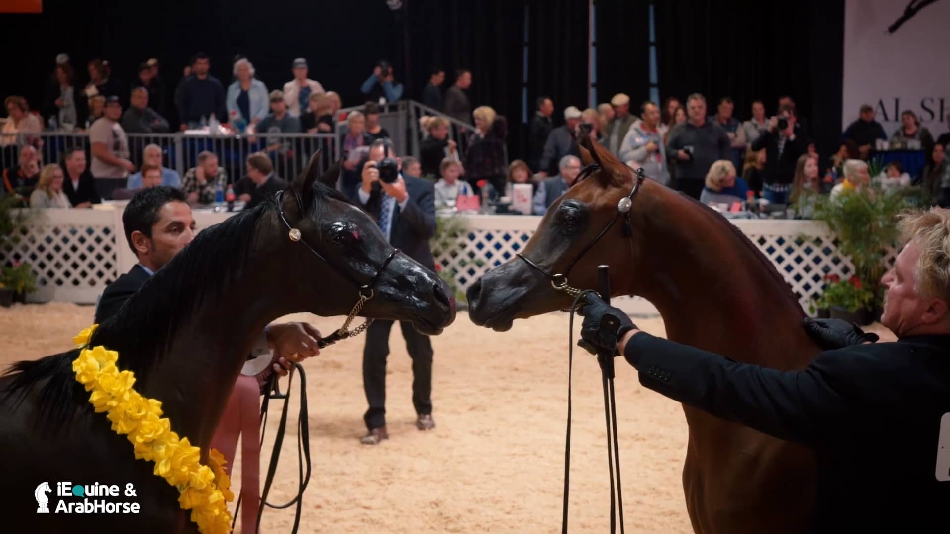 El Rey Magnum RCF Scottsdale Unanimous Champion on Vimeo