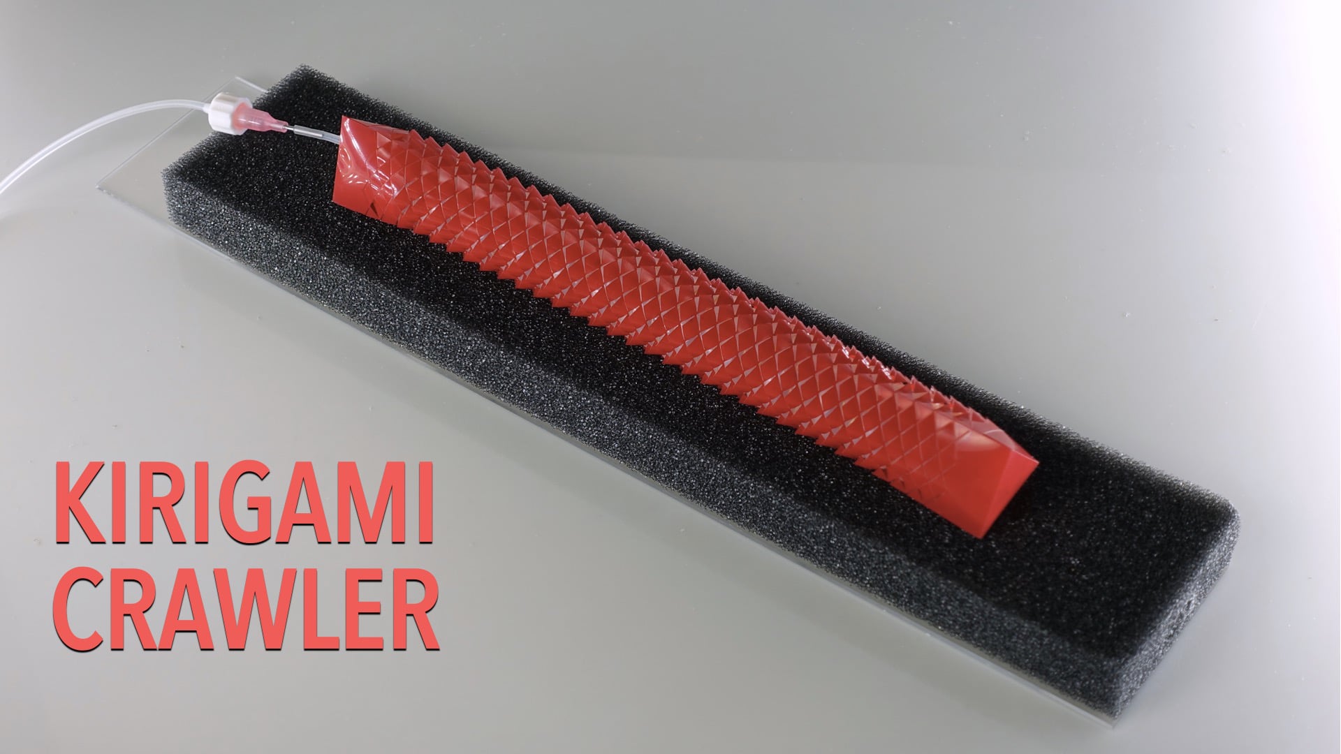 Snake-inspired robot uses kirigami to move