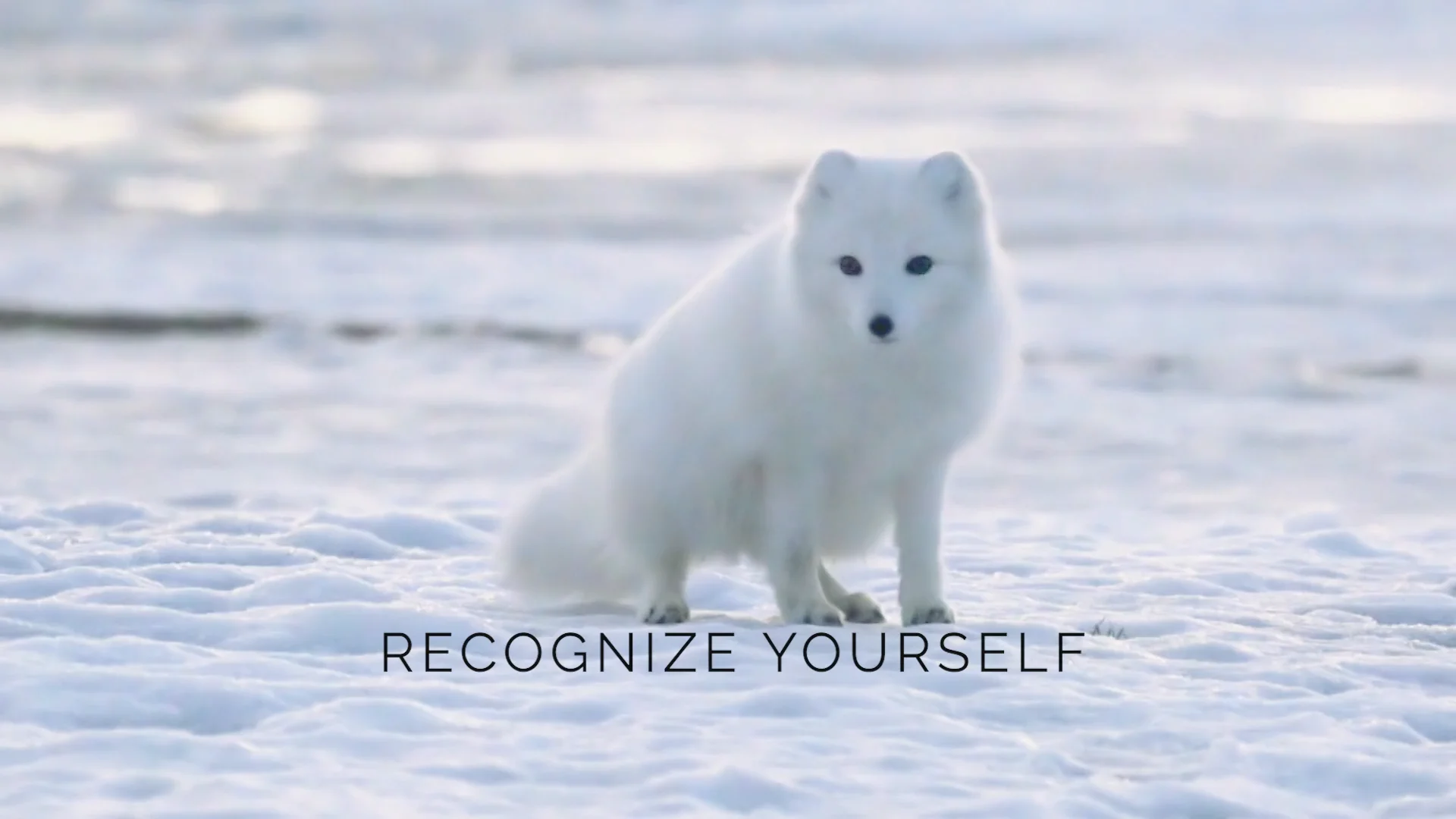 Recognize Yourself