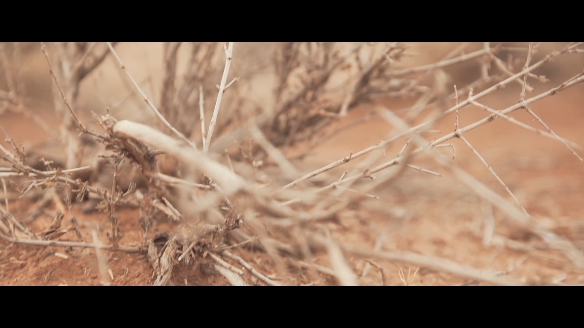 Tale of a Toxic Nation - Roger Teaser on Vimeo