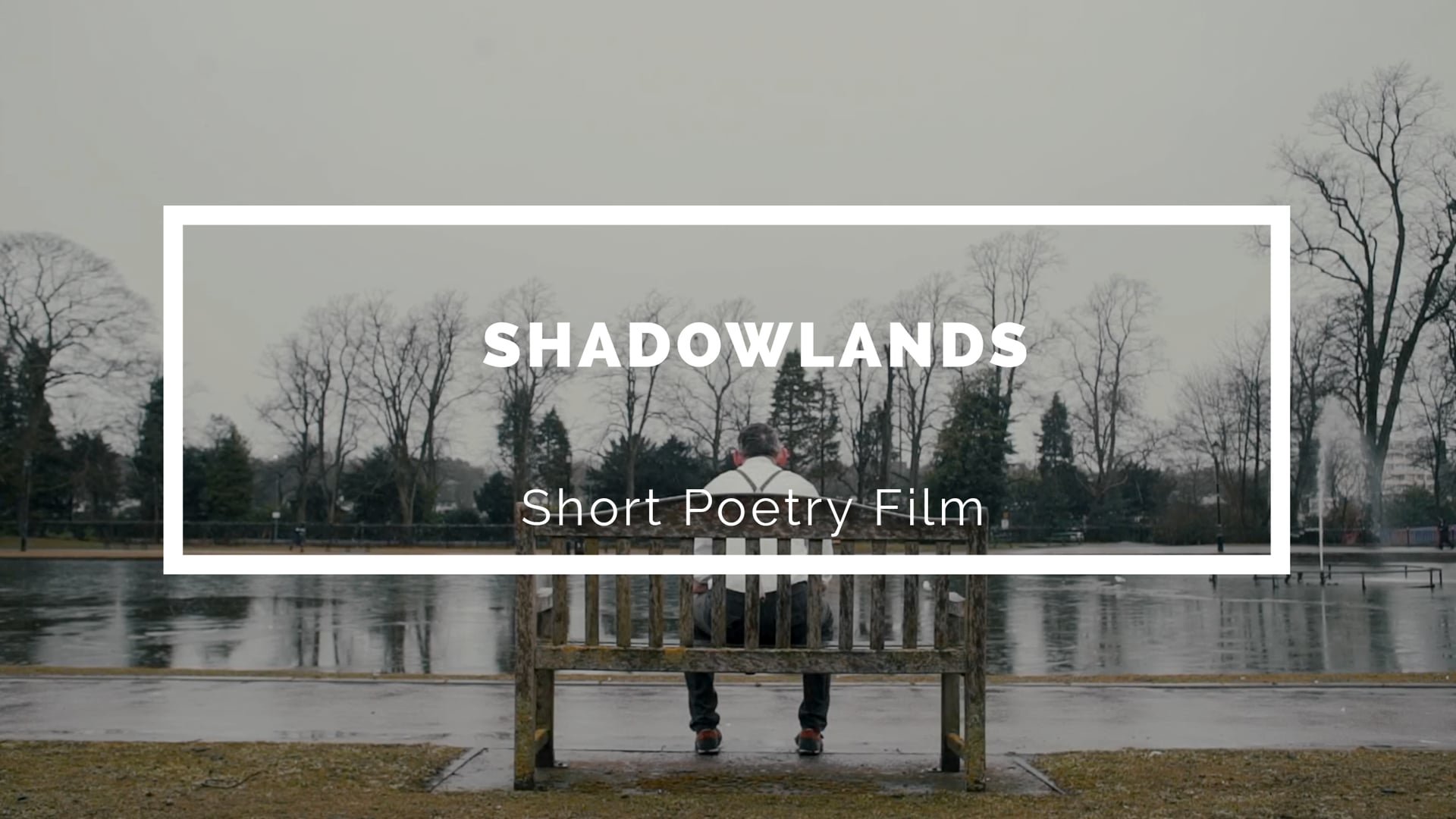 FILM | Paul Stringer