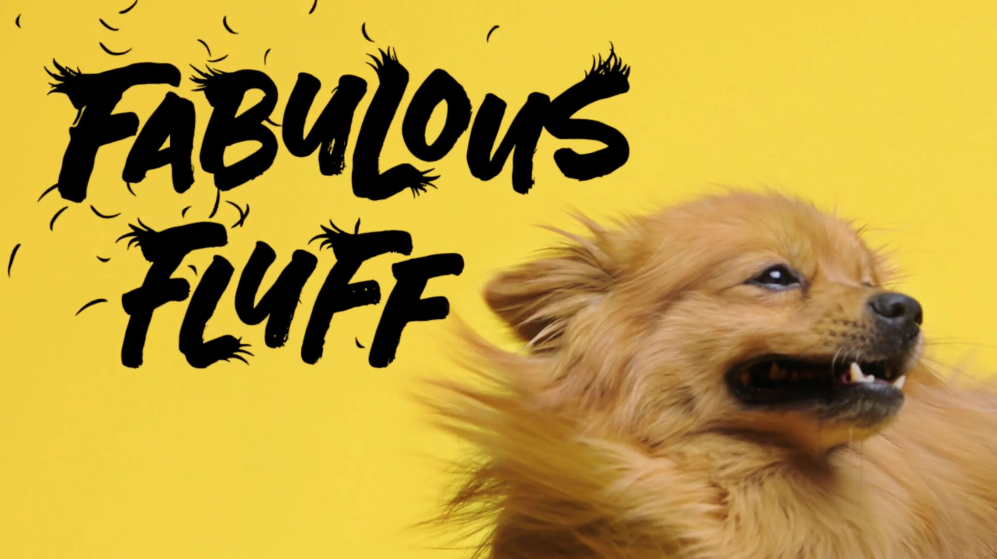 Dogs Trust - We're Here on Vimeo