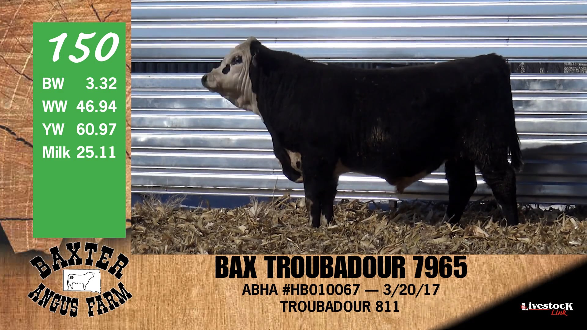 150 - Baxter Angus Farm on Vimeo