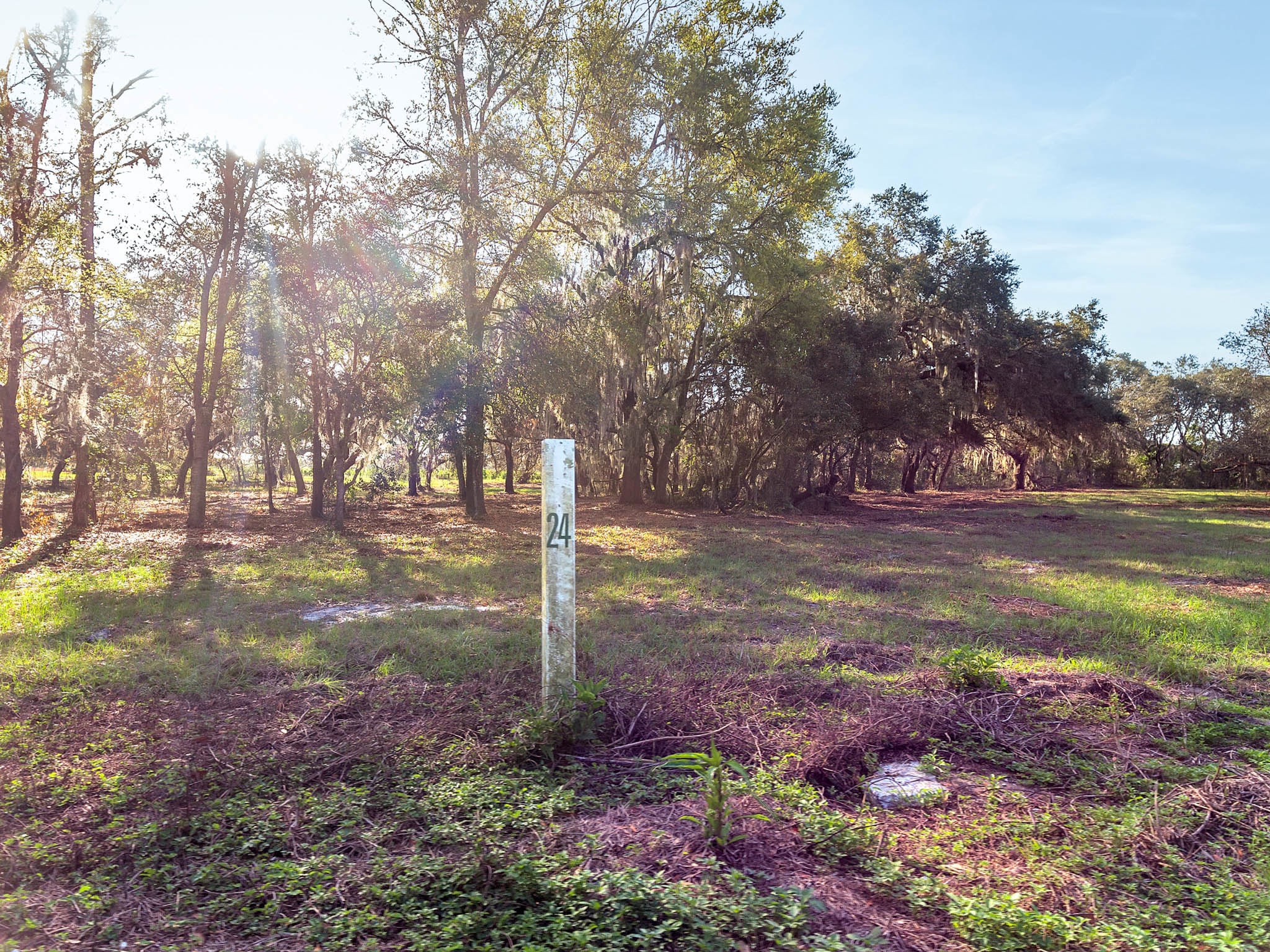 Moss View Dr, Tavares, FL 32778 on Vimeo