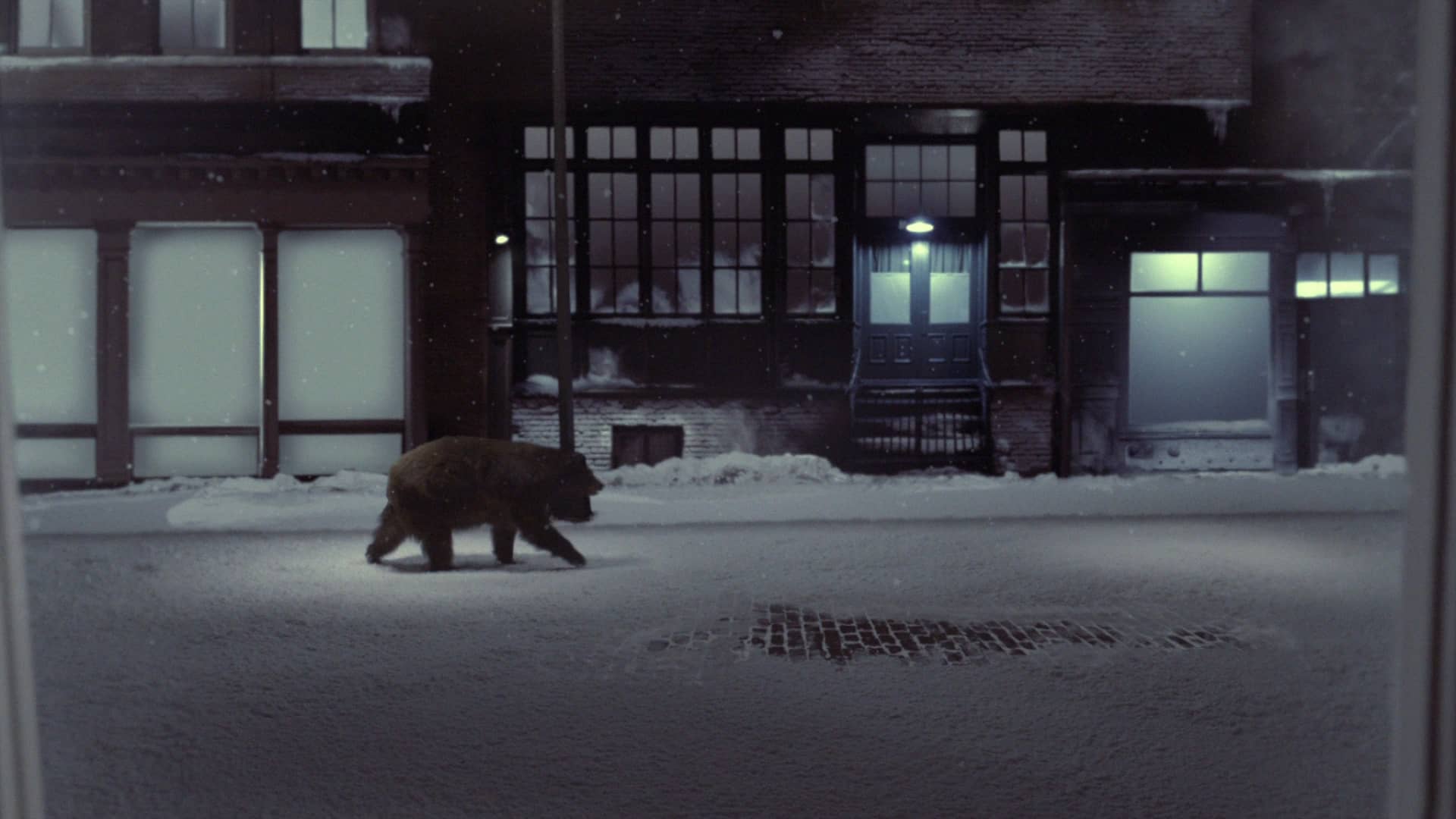 BLACK BEAR STUDIO LOGO on Vimeo