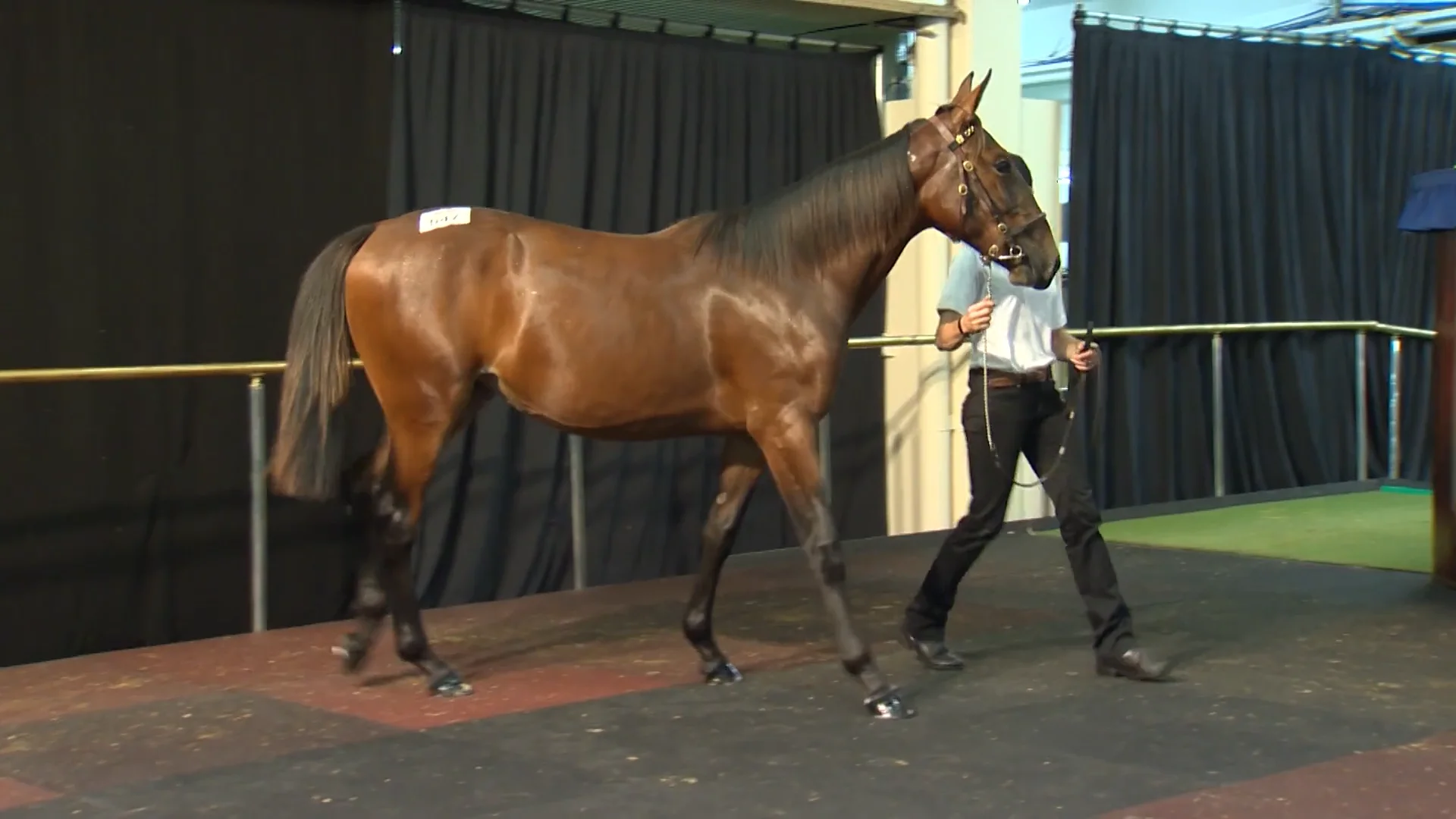 Lot 502 & 547 - Mike Howie (Vendor) on Vimeo