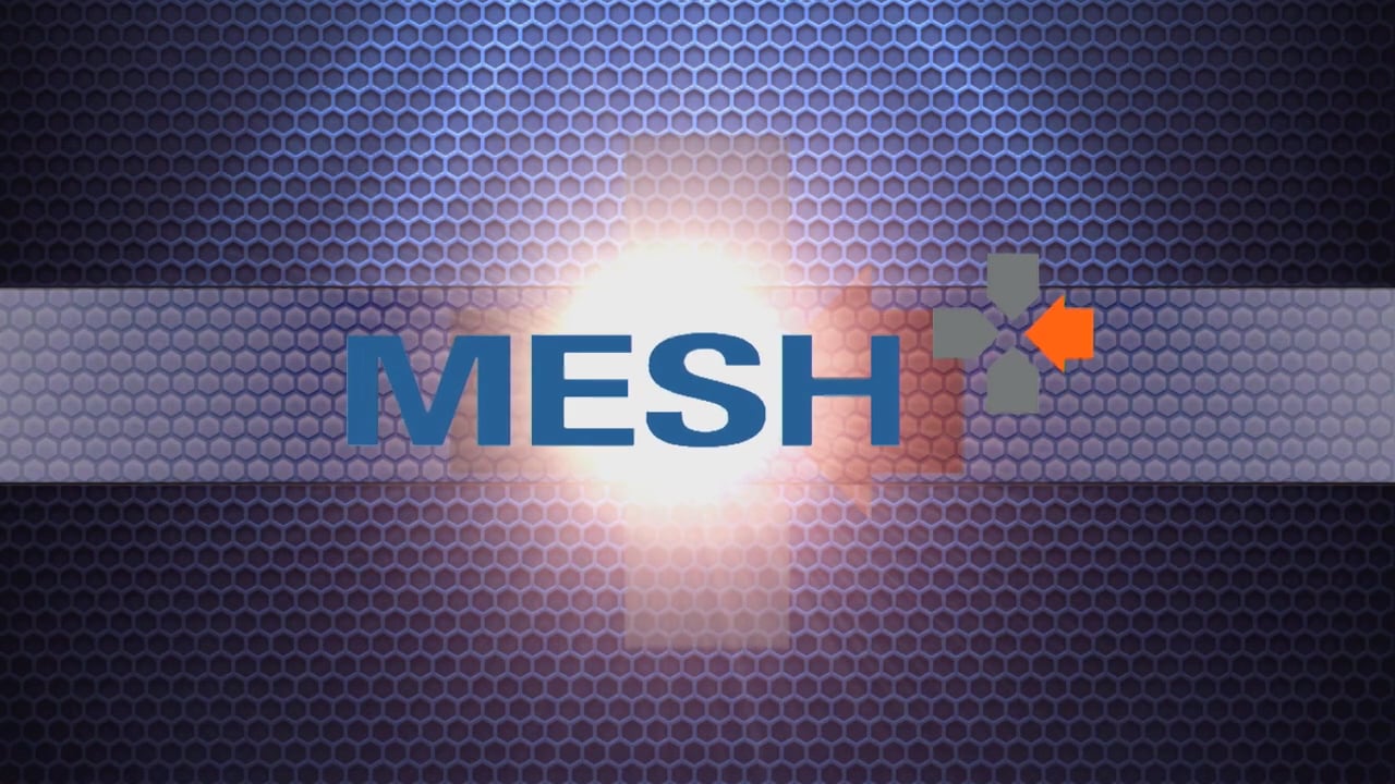 MESH Coalition on Vimeo