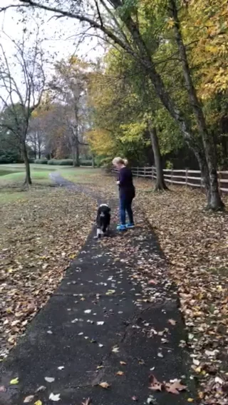 Phase I - Bernie Scherer on Vimeo