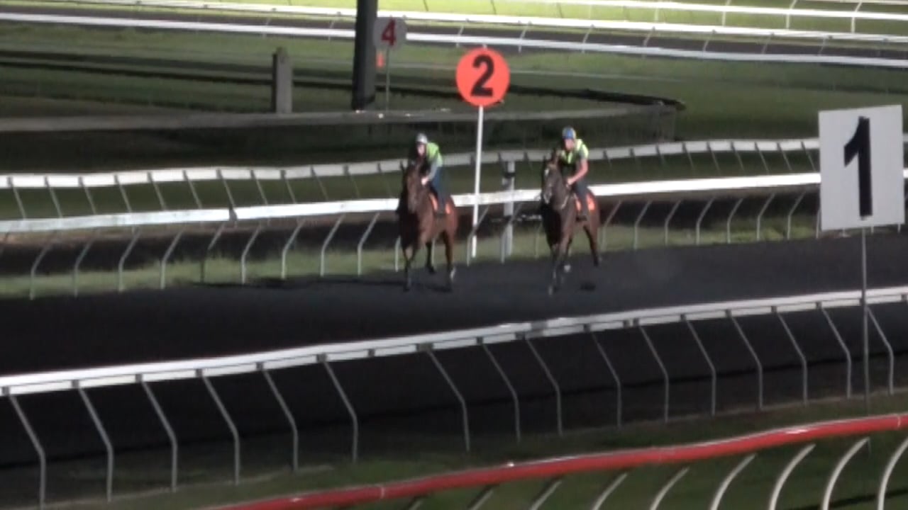 Italia Bella Gallop 10.03.2018 on Vimeo