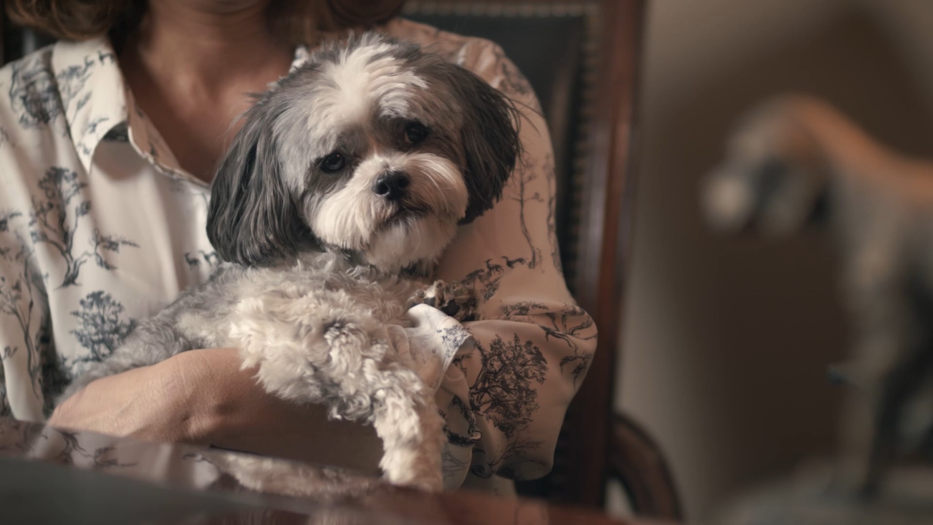 Tracey_Short_7_TevraPet on Vimeo