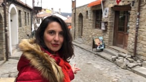 Untitled from Tsetsi on Vimeo.