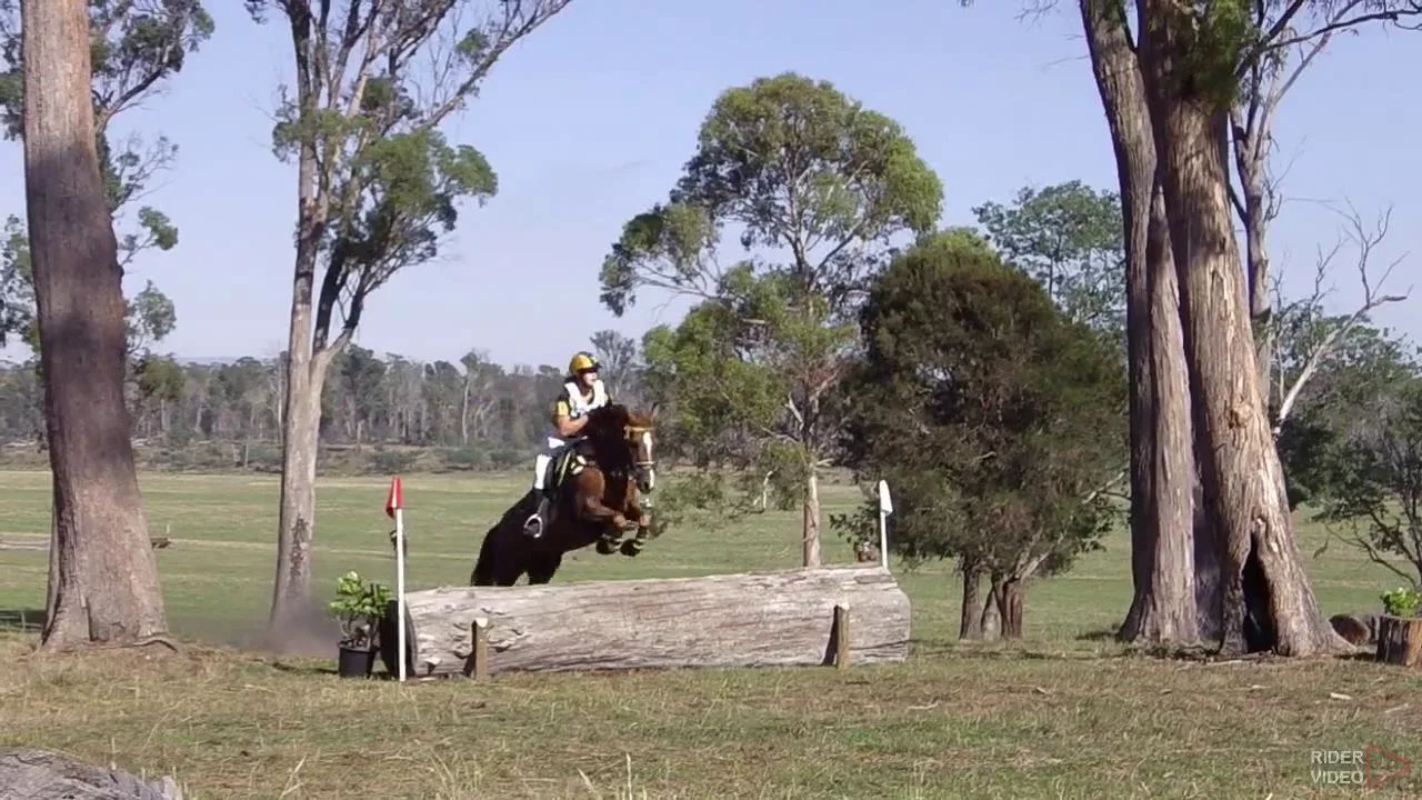 Emily Kilby riding Trebouche 106 Grade 3 Tasmania Pony Club State ...