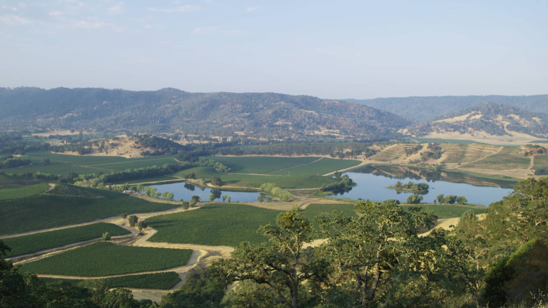 St. Supéry: Dollarhide Estate Vineyard on Vimeo