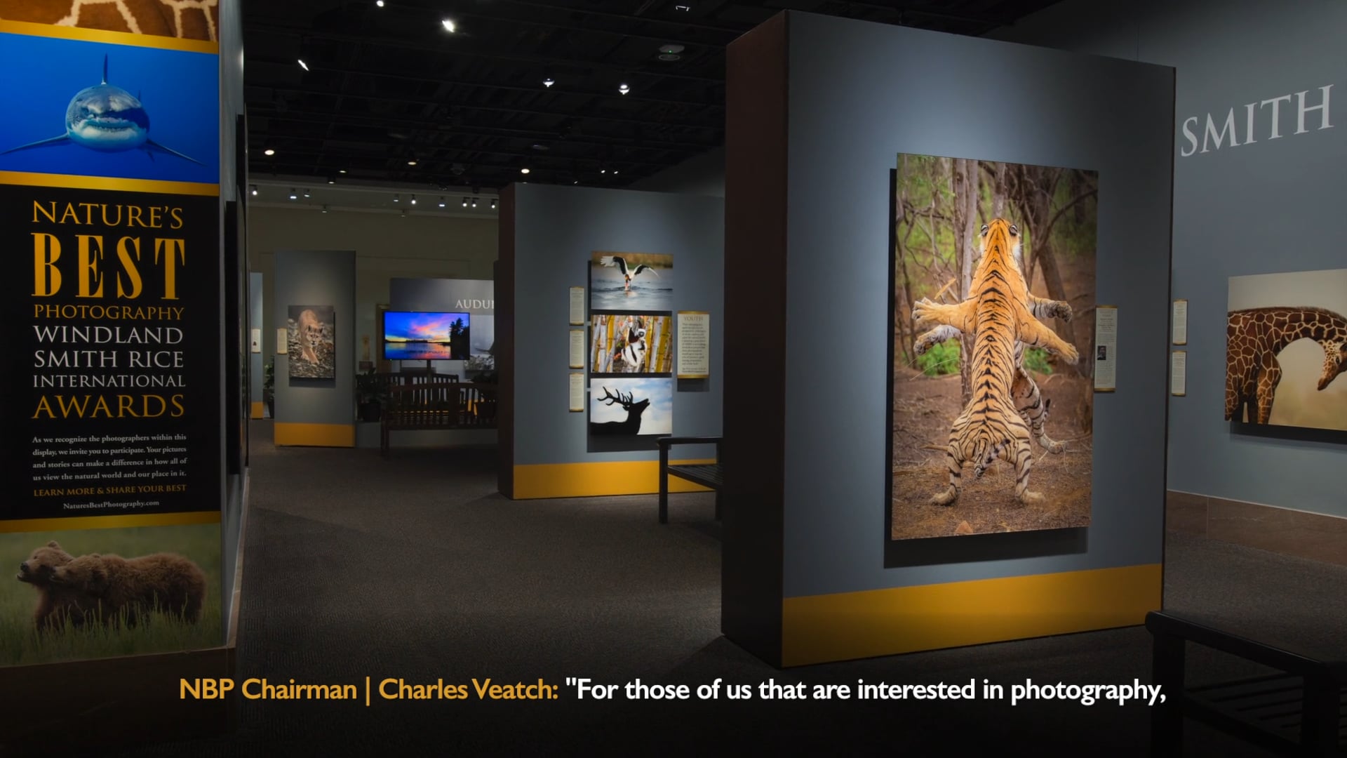 2017 NBP Windland Smith Rice Awards Exhibition on Vimeo