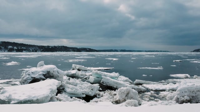 Invierno Nieve Blanco - Free video on Pixabay - Pixabay