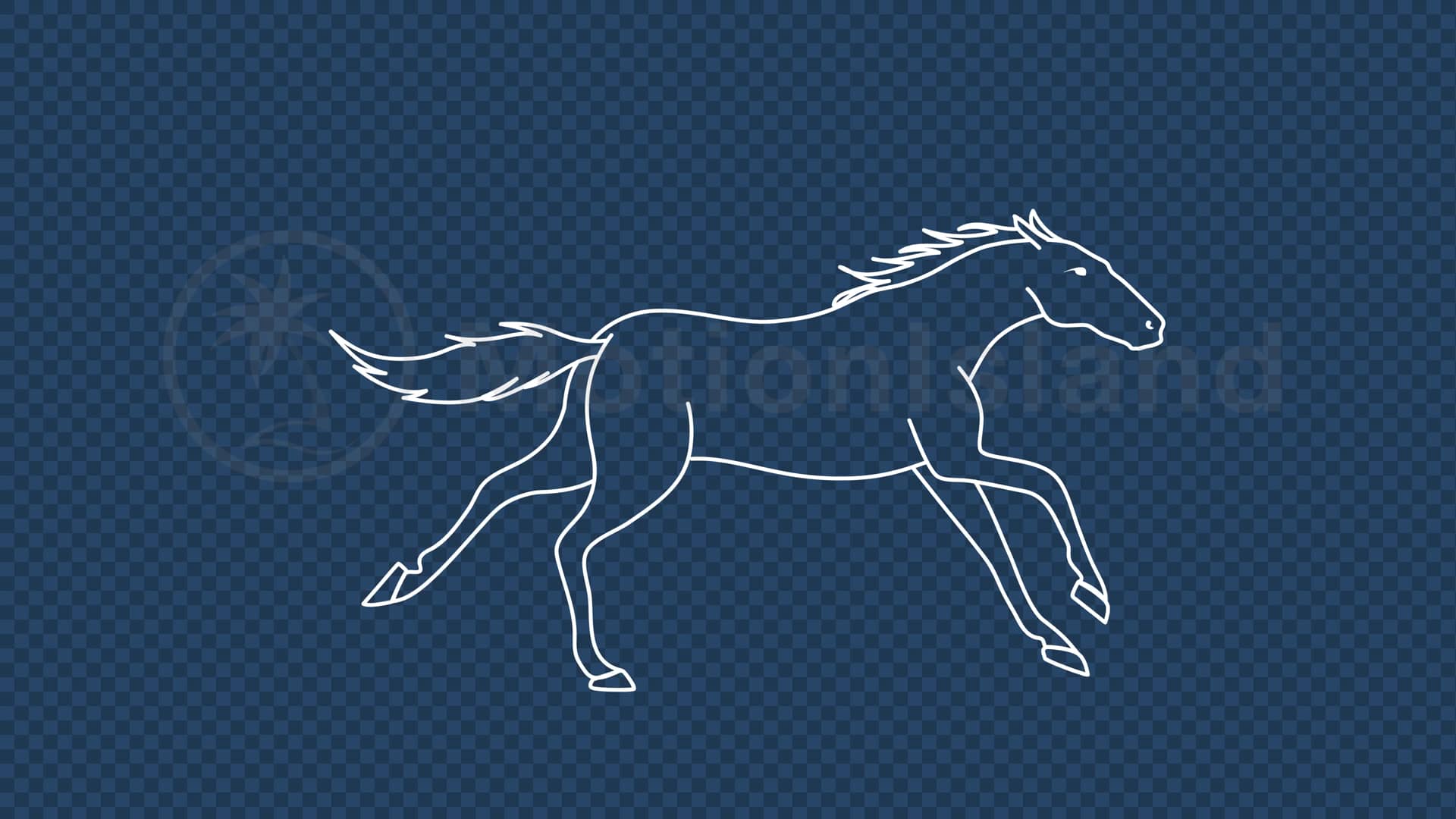 Galloping Horse Outline Animation on Vimeo