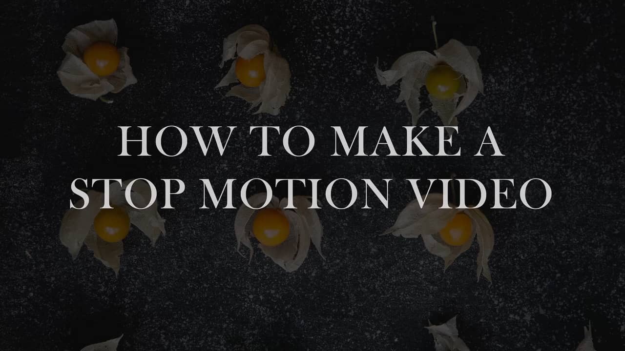 Stop motion video on Vimeo
