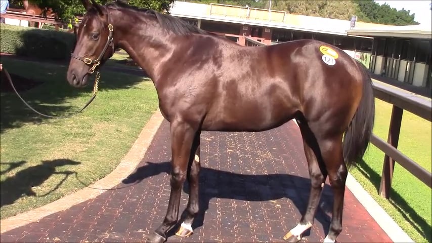 BETTER THAN READY X PILGRIM COLT - SHARES AVAILABLE on Vimeo
