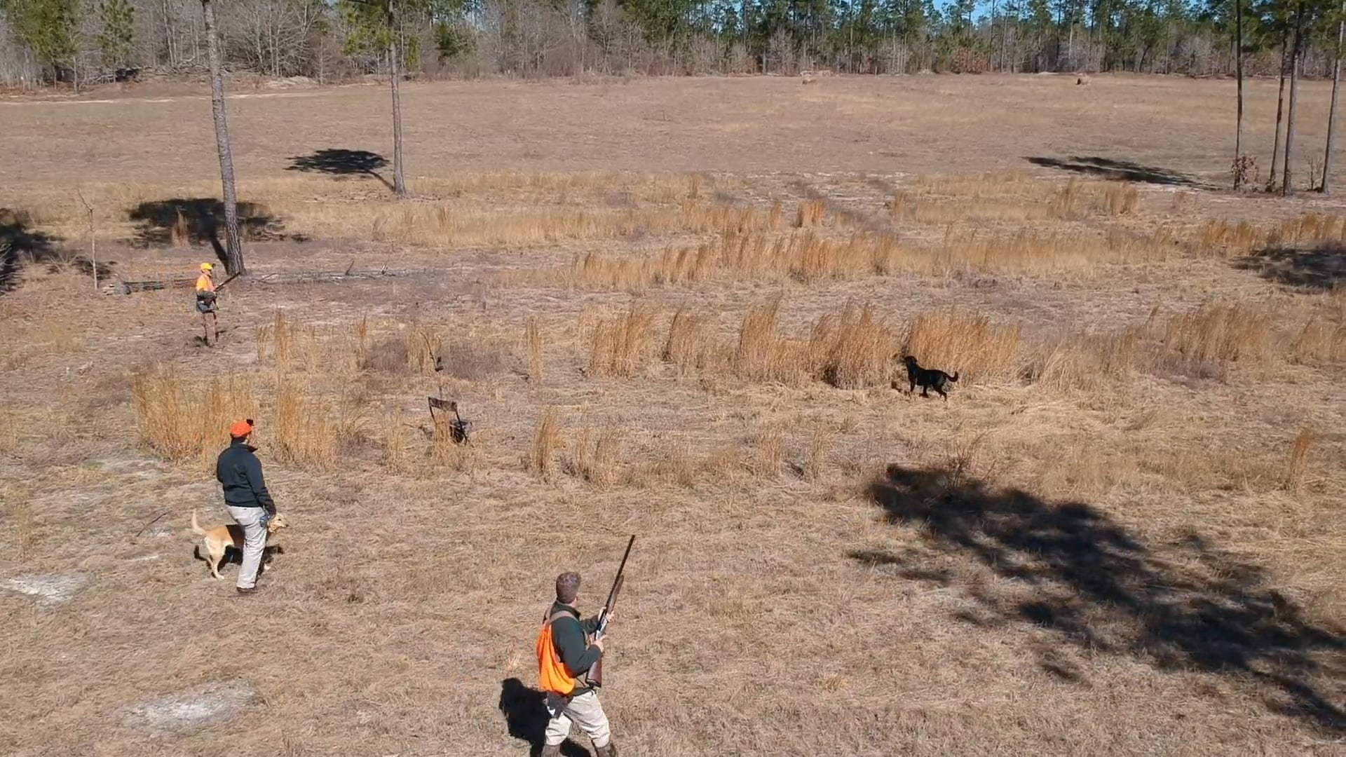 Sully and Sadie 4 on Vimeo