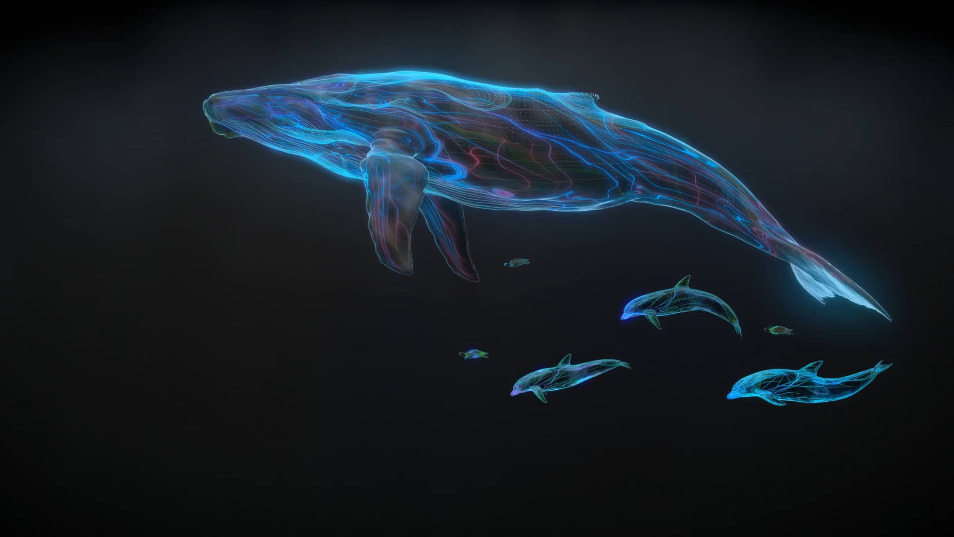 phosphorescent Sea life on Vimeo