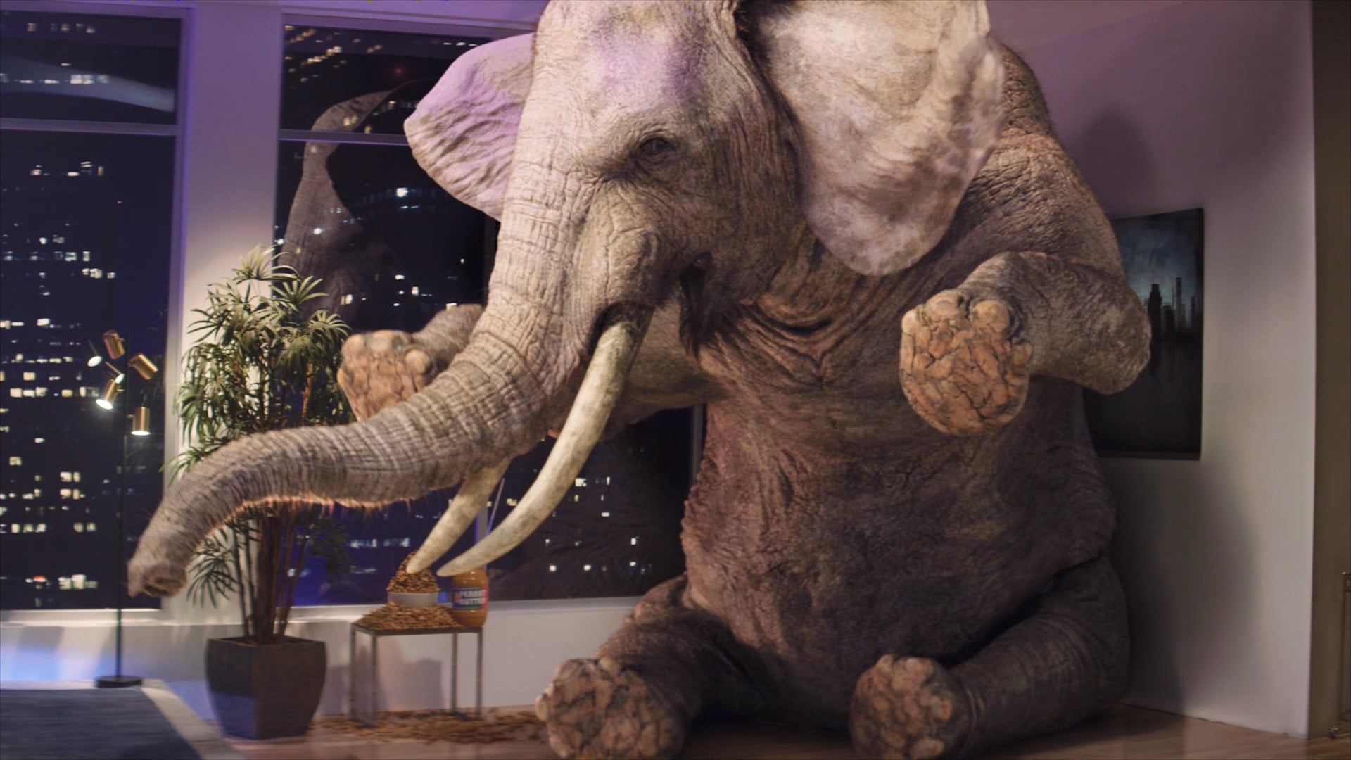 GEICO Elephant on Vimeo