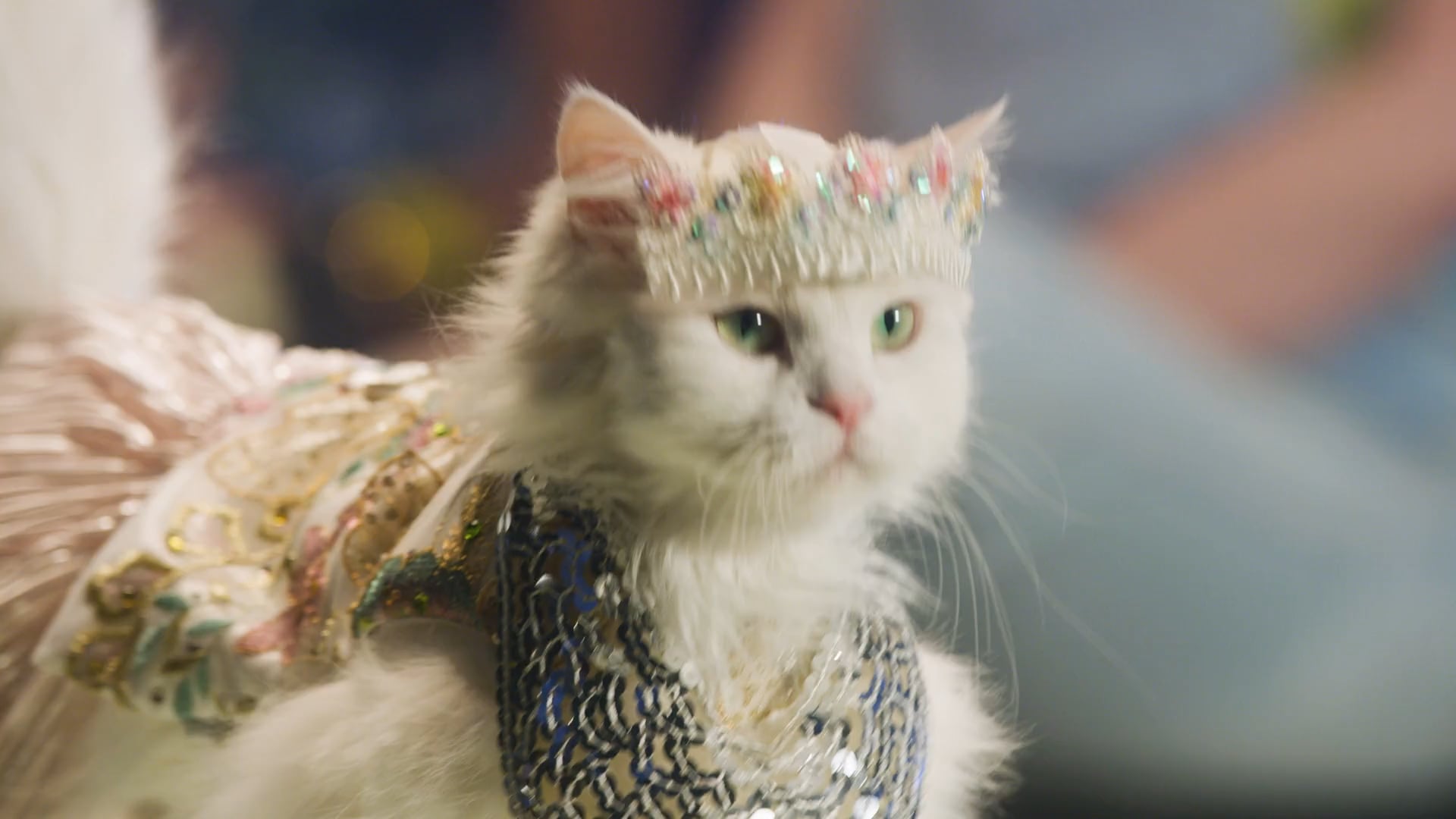 GEICO Catwalk on Vimeo