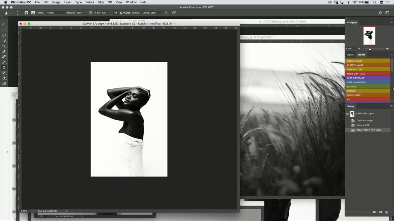 Beautiful Blur - The Portrait System