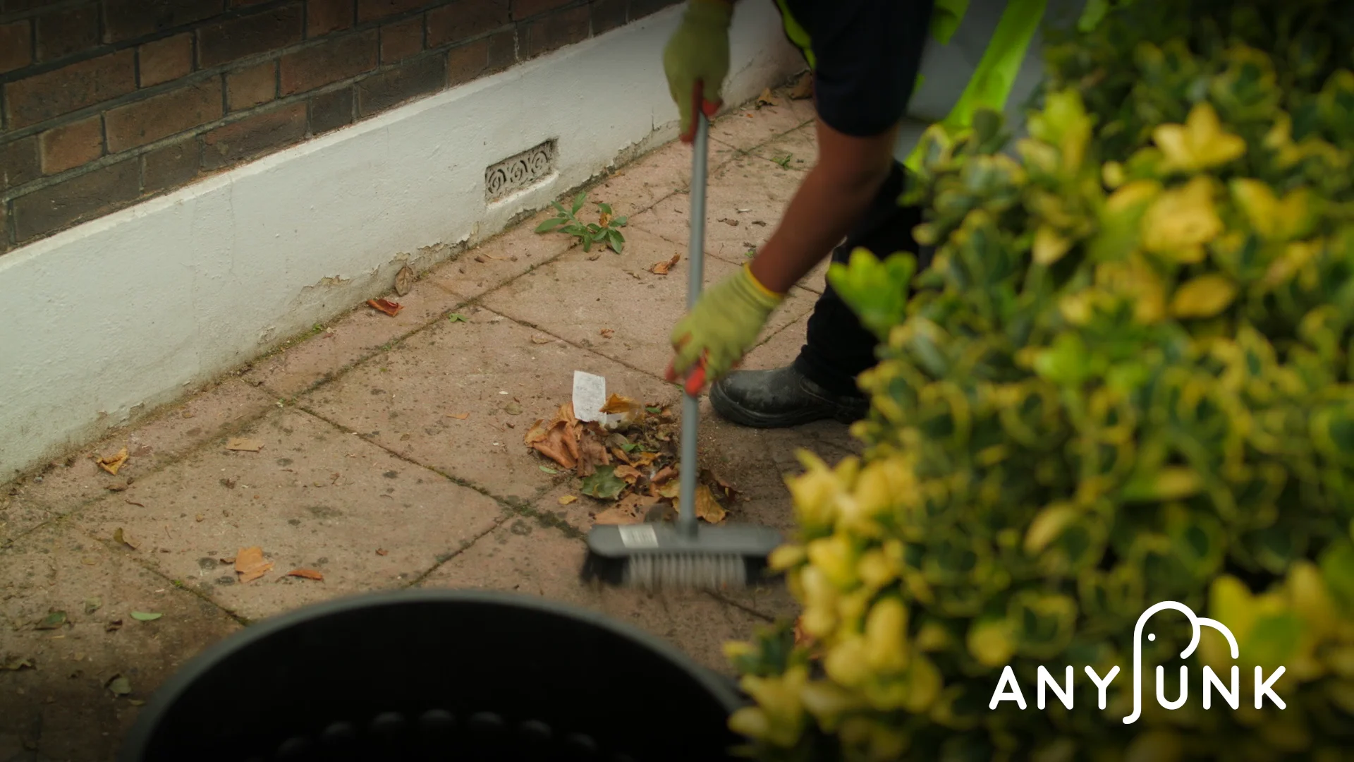 anyjunk 30 second_V1 on Vimeo