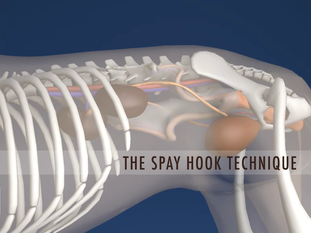 The Spay Hook Technique