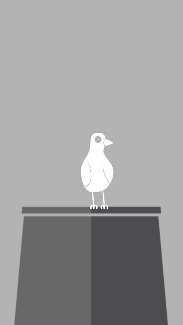 Nuclear bird influence : motion graphic design on Vimeo