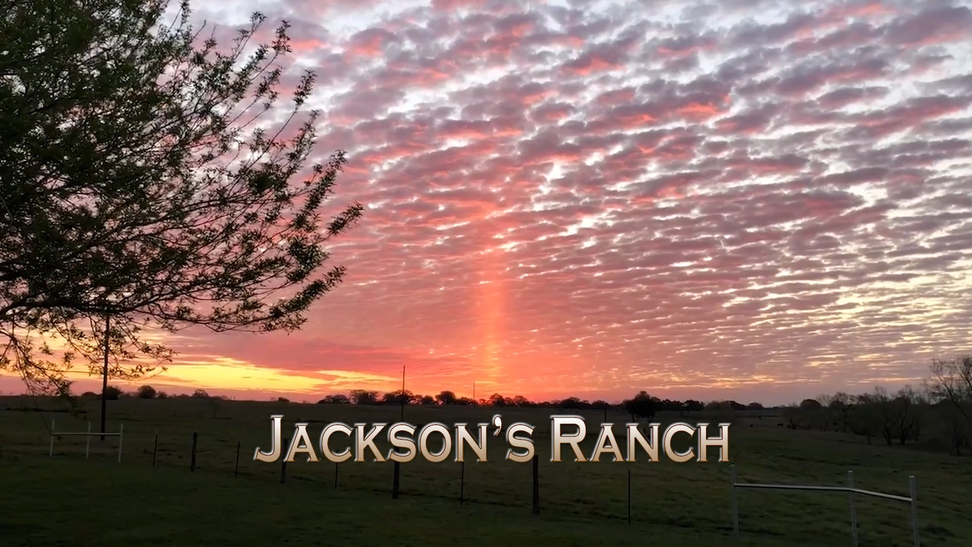 Jacksons Ranch, Cuero Texas on Vimeo
