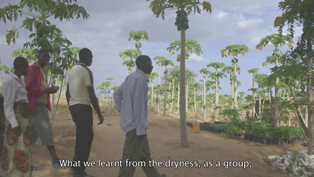 IGUNGA - COMMUNITY TREES - TheWaterChannel